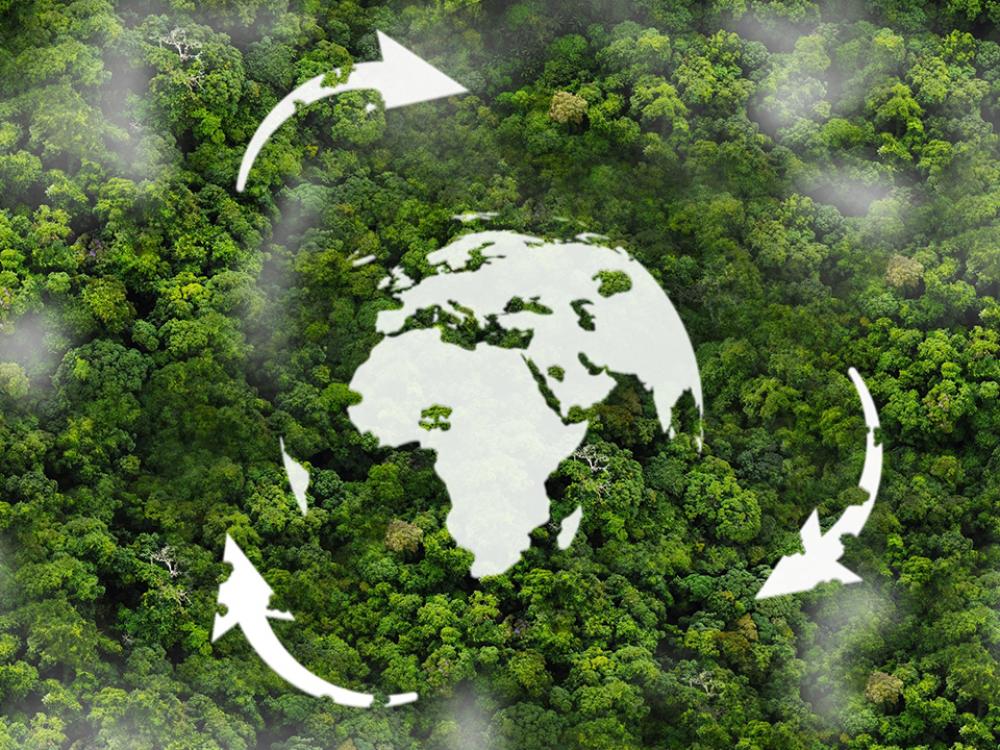 Zasada 5R, czyli Smakuj Odpowiedzialnie zgodnie z regułami gry :: Appetita. Smak i Styl